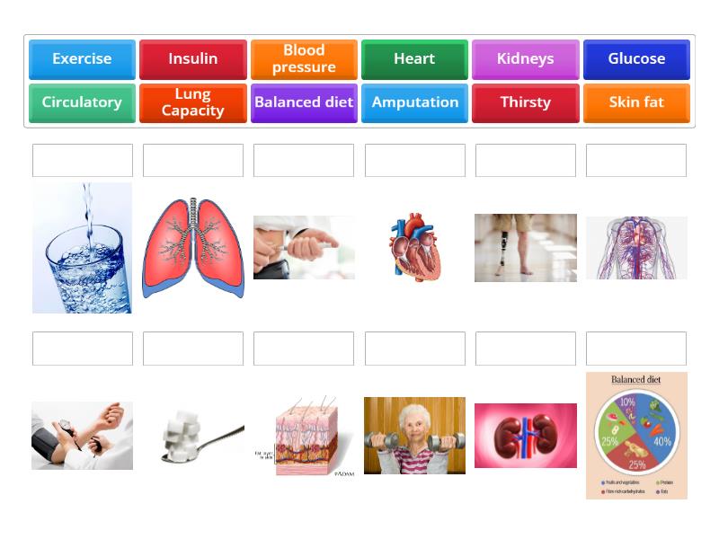 Diet And Disease Diagrams Match Up