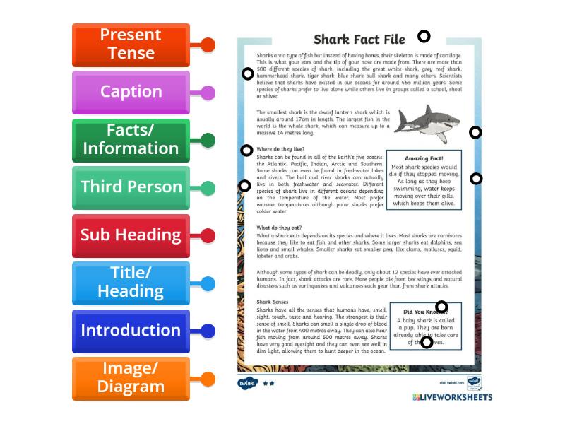Non Chronological Report - Labelled diagram