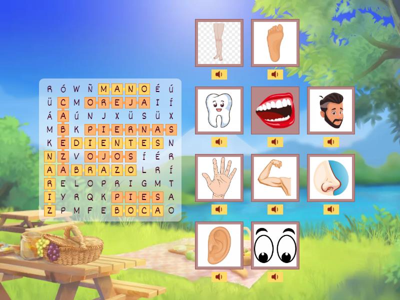 Sopa de letras "CONOZCAMOS LAS PARTES DEL CUERPO" - Wordsearch