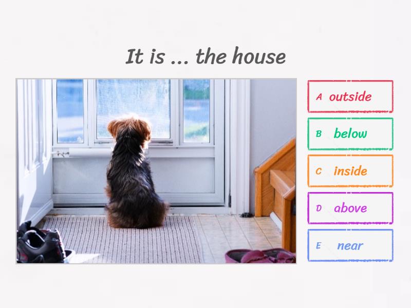 Unit 13. Prepositions (inside, outside, above, below, near) - Quiz