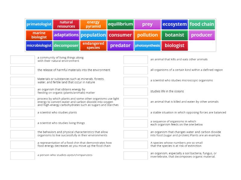 Ecosystem Vocabulary - Match up