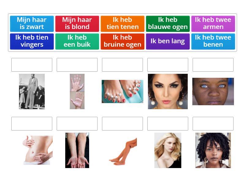 Zinnen lichaam bij plaatjes - Match up