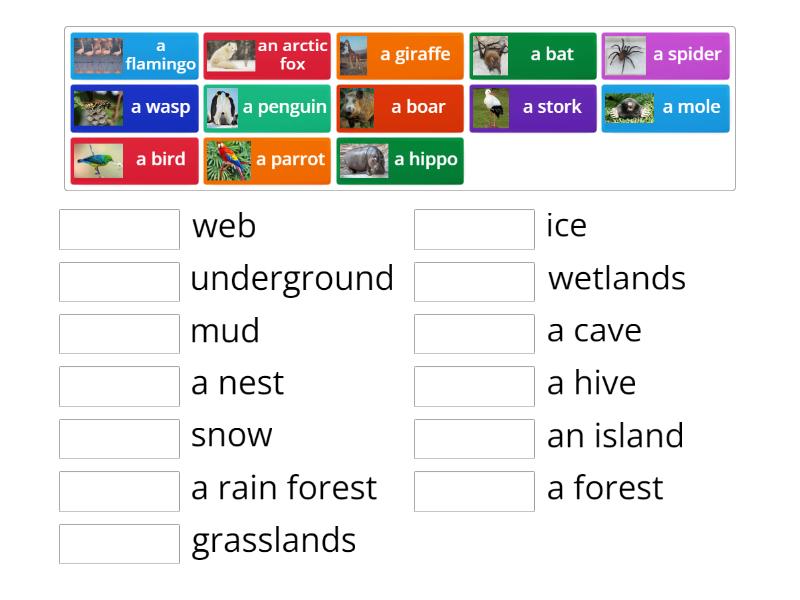 OW3 - Unit 5 -Aminal habitats - match the animals - Match up