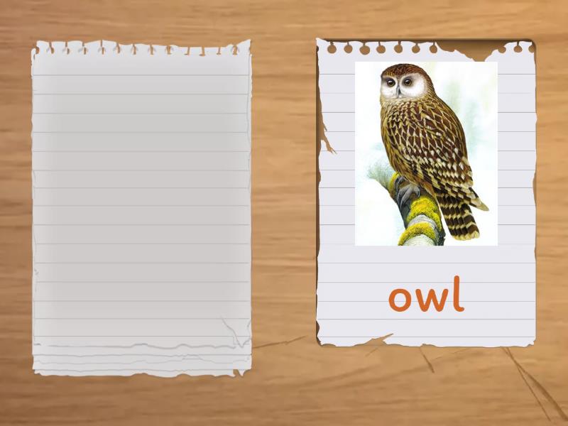 Basic animals - Speaking cards