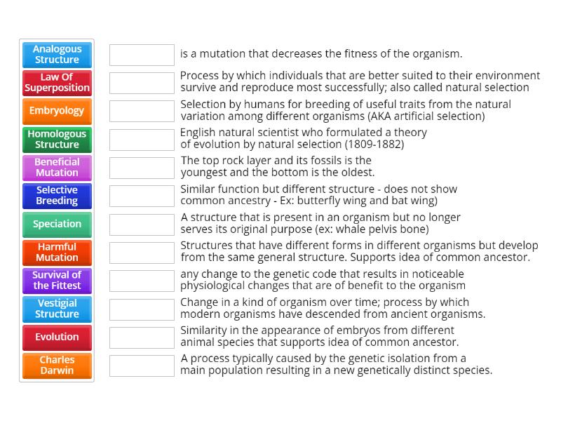 Jonathan Emmady Evolution Review Game 2024-2025 - Une las parejas