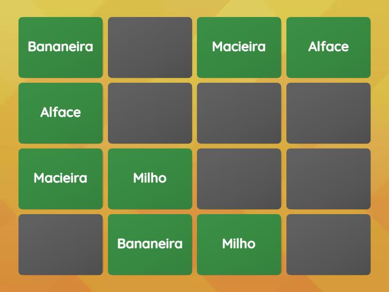 DIFERENTES TIPOS DE PLANTAS - Matching pairs