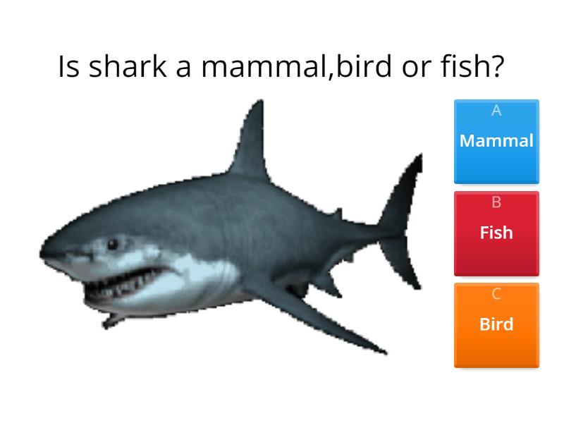 Grade 1 Mammals,Bird and Fish Review By: Teacher Shiela - Cuestionario