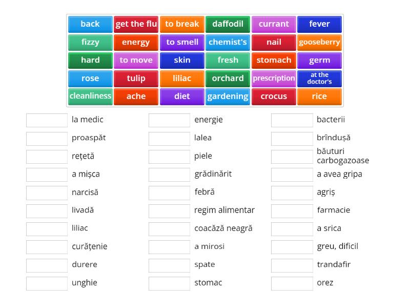 unit 5 lesson 1-5 - Match up