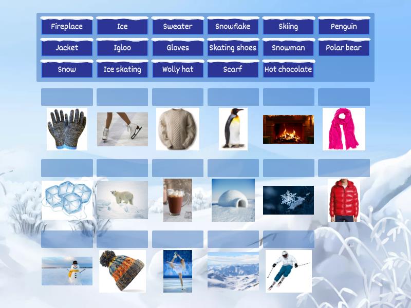 Winter- Vocabulary - Match up