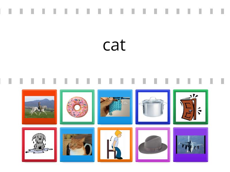 At, Et, It, Ot, Ut Word Family - Find the match