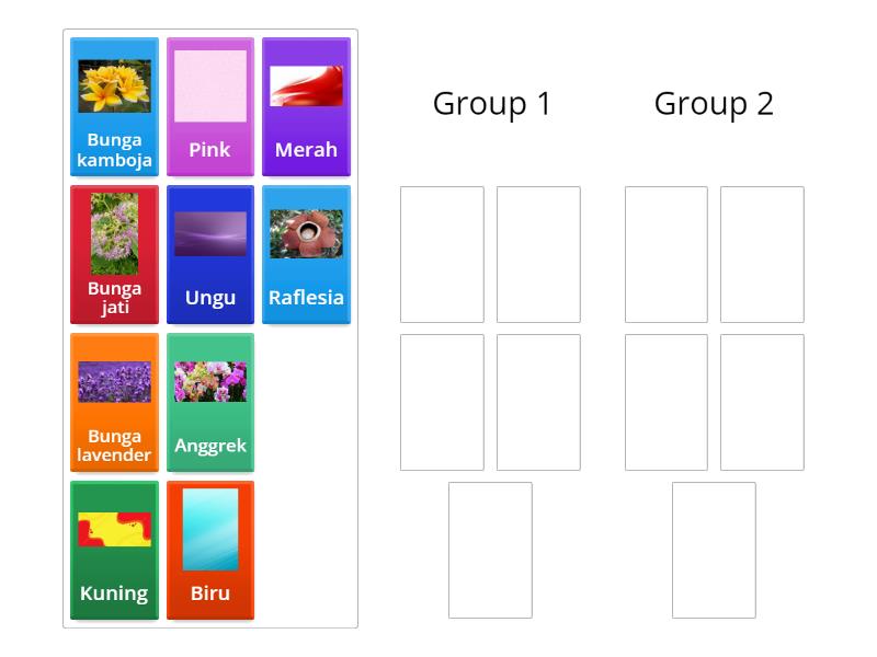 Homework - Group sort