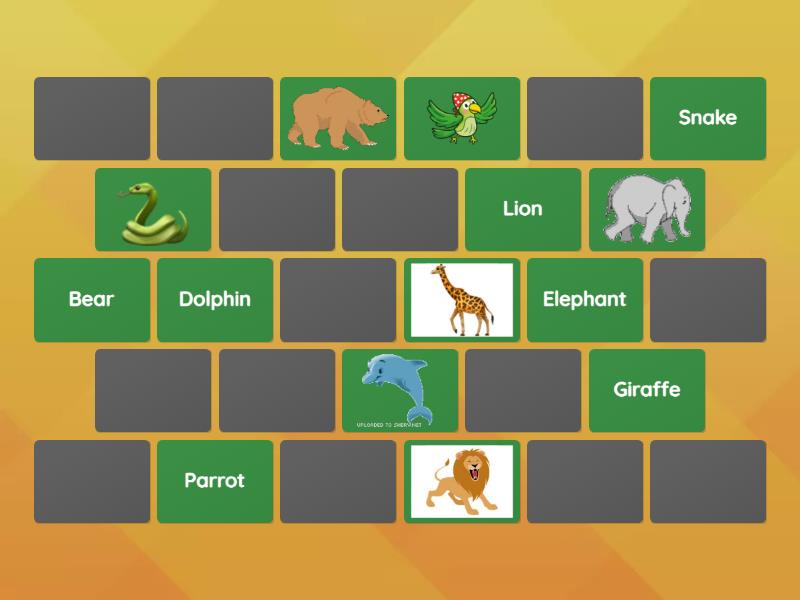 Animal pairs - Matching pairs