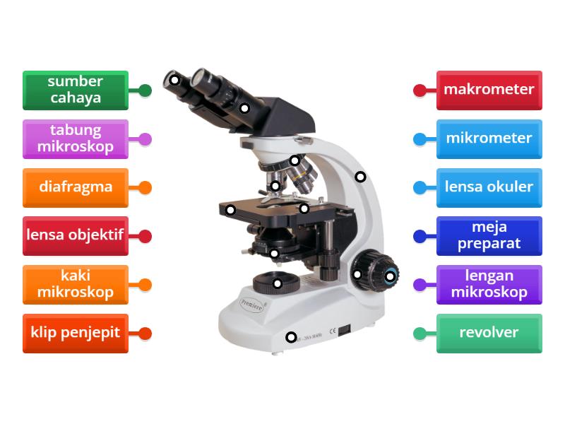 Melabeli Bagian-Bagian Mikroskop - Labelled diagram