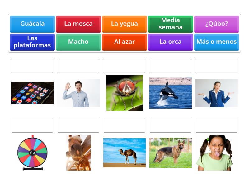 DIFON Actividad 2 - Match up