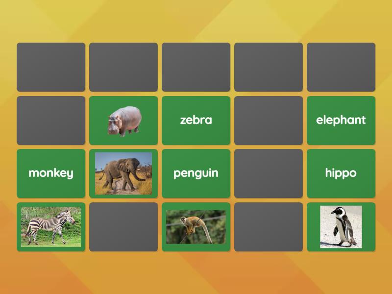 UNIT 8 WILD ANIMALS - Matching pairs