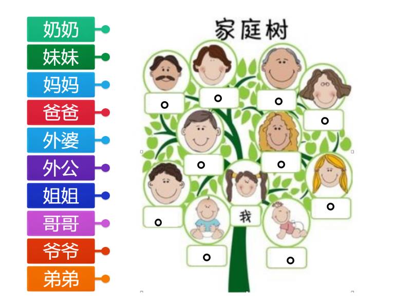 Chinese Family Members - Labelled diagram