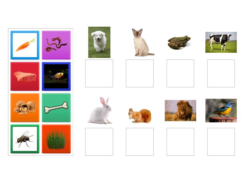 Kas kuo minta? - Group sort