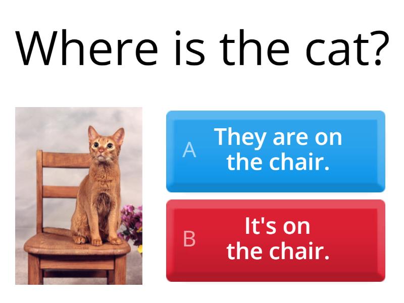 Where's/Where are: Choose the correct answer. - Quiz