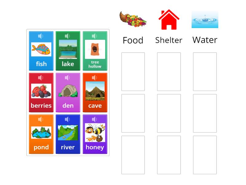 Benchmark Express (KG) Unit 1-Writing sample - Ordenar por grupo