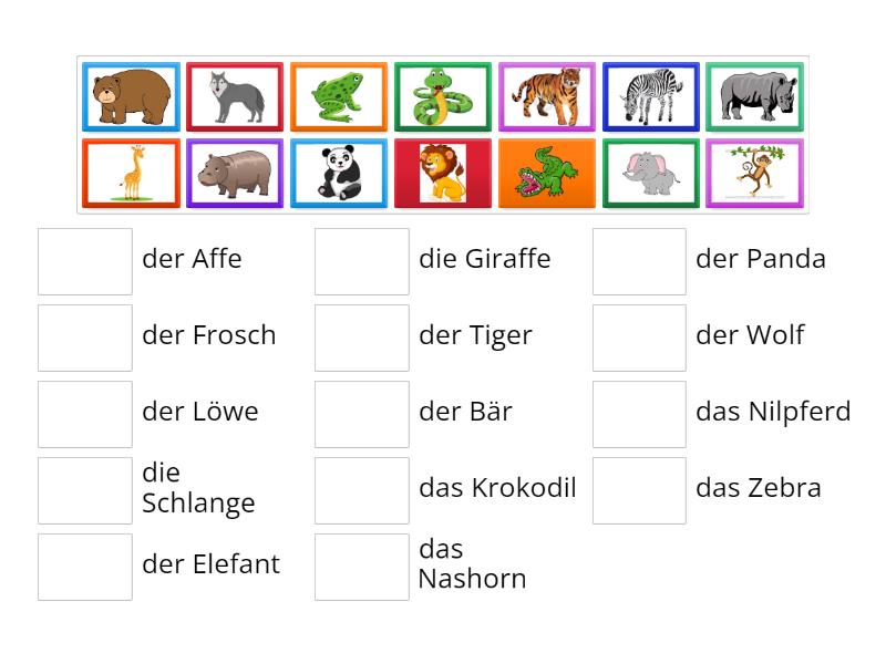 Wildtiere - Match up