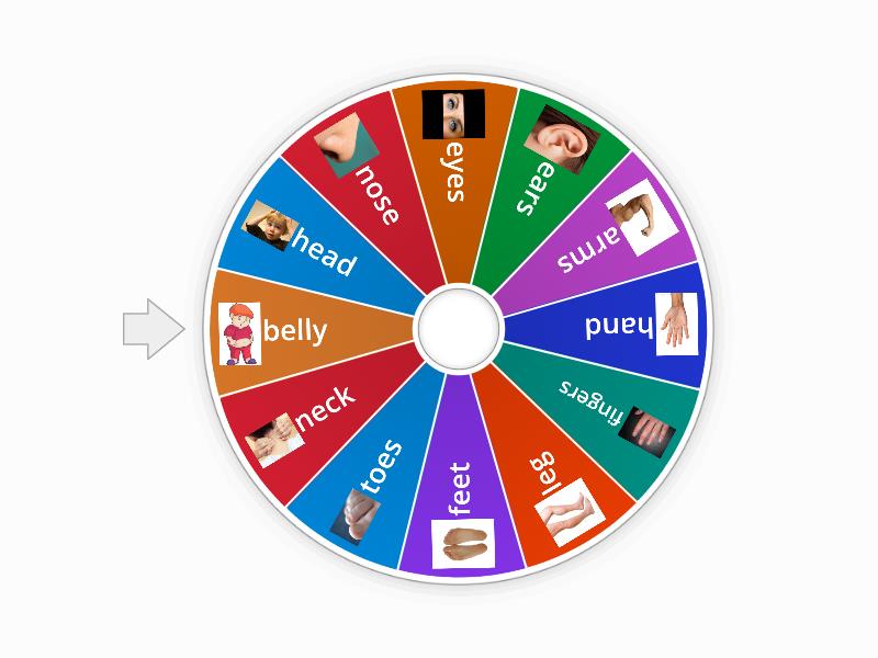 Shane.C Sickness Excuse Wheel - Spin the wheel