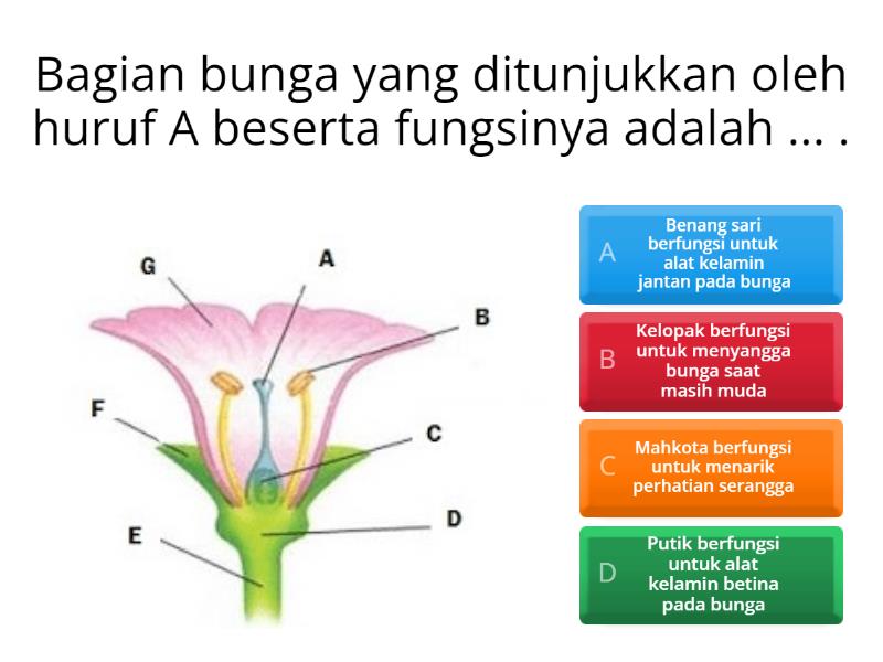 BAGIAN-BAGIAN BUNGA DAN PENYERBUKAN - Quiz