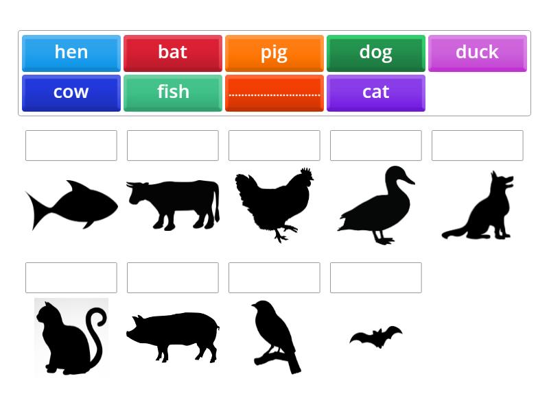 Animals match game - Match up