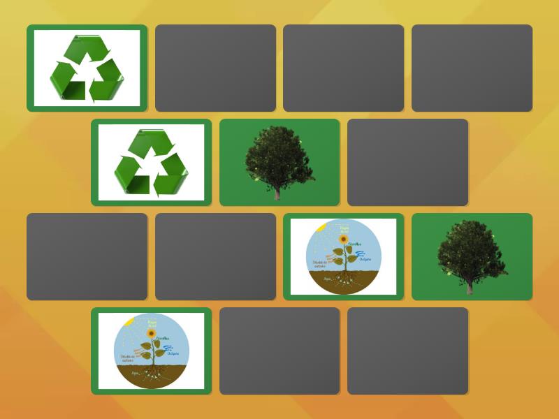 El medio ambiente - Matching pairs