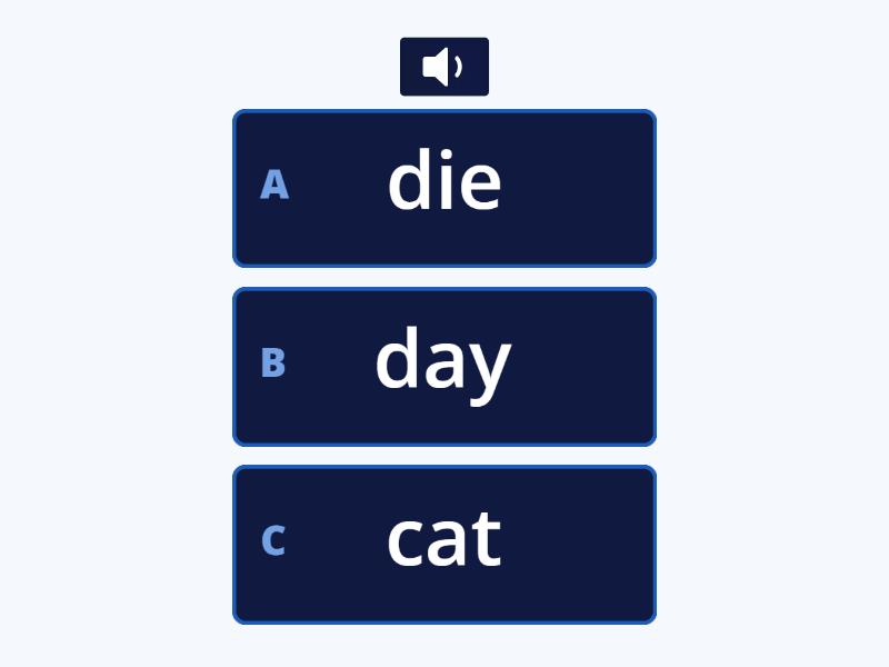 long a vowel sound(a_e, ai, ay) - Quiz