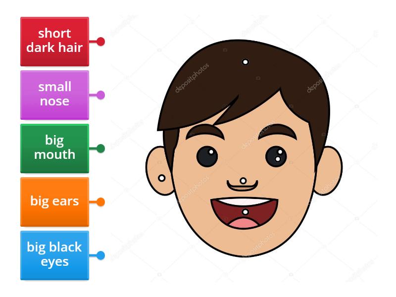 HEAD - Labelled diagram