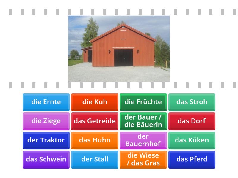 Bauernhof - Wortschatz - Cada oveja con su pareja