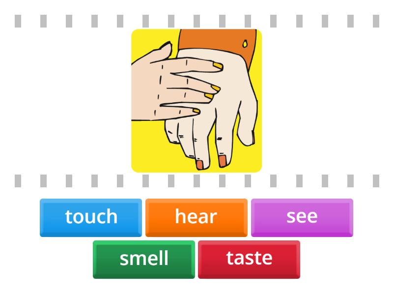 Sense verbs - Find the match