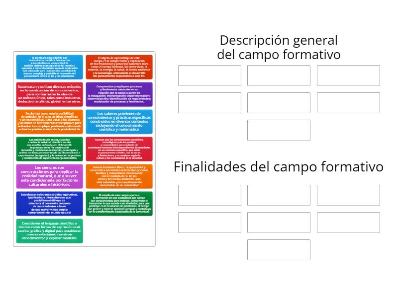 CAMPO FORMATIVO SABERES Y PENSAMIENTO CIENTÍFICO - Group sort