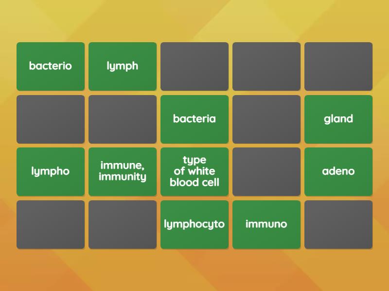 Lymph and Endocrine System - Matching pairs