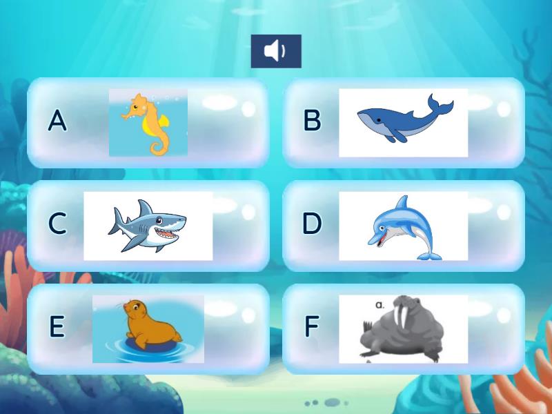 sea animals - Quiz