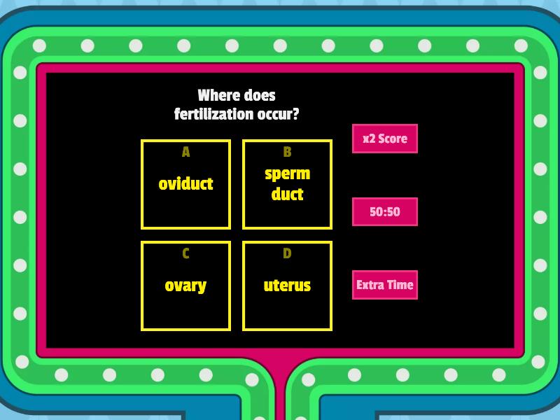 2nd Term Exam Revision Game 3 Gameshow Quiz