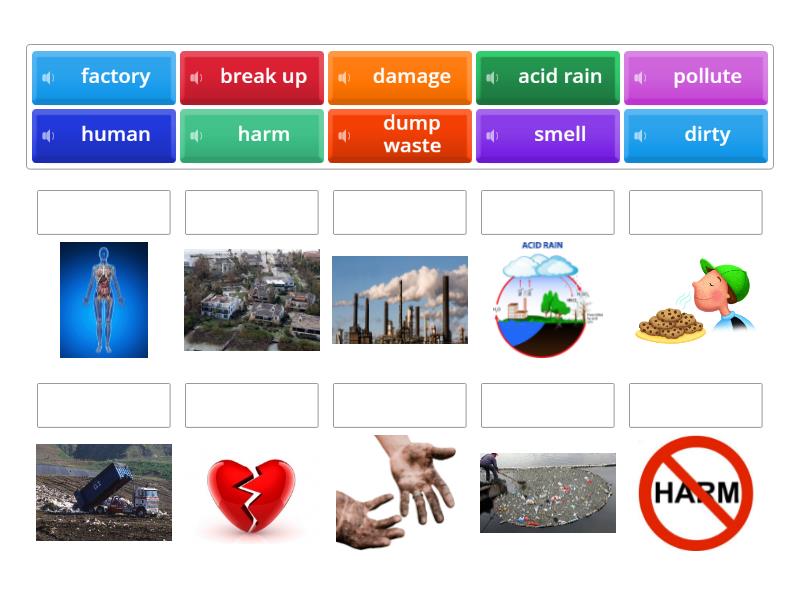 Pollution - Match up