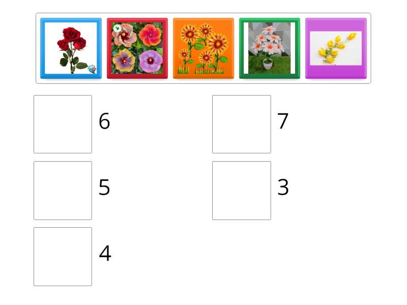 bunga dan angka - Match up