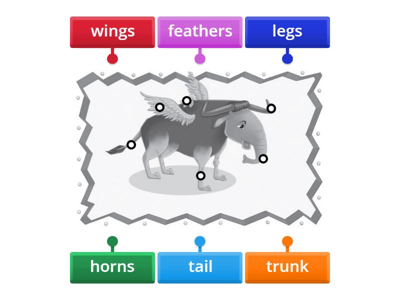 strange animal - body parts - Labelled diagram
