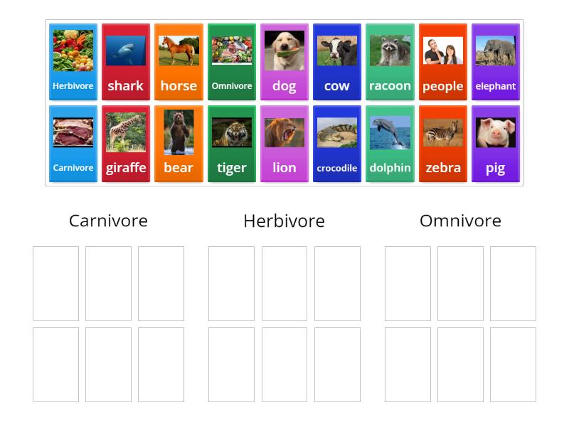 Carnivore, Herbivore and Omnivore - Group sort