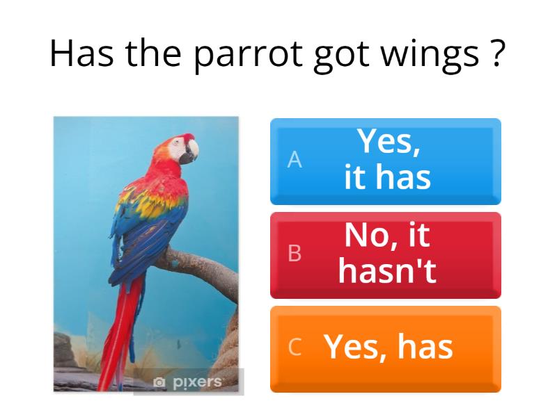 Has it got? (pets) - Quiz