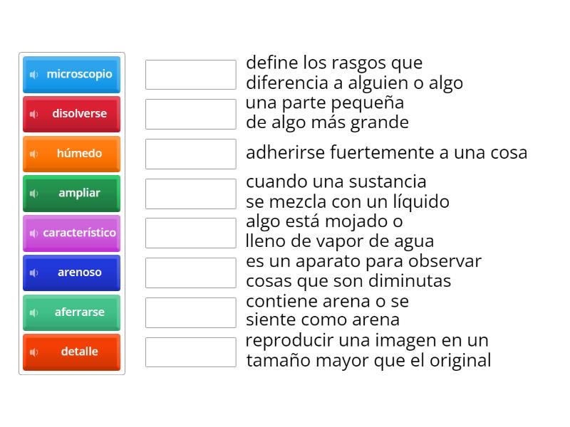 Unidad 5 Semana 1&2 - Match up