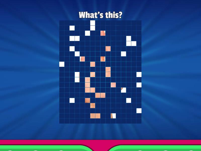 Body parts (Guessing Game) - Image quiz