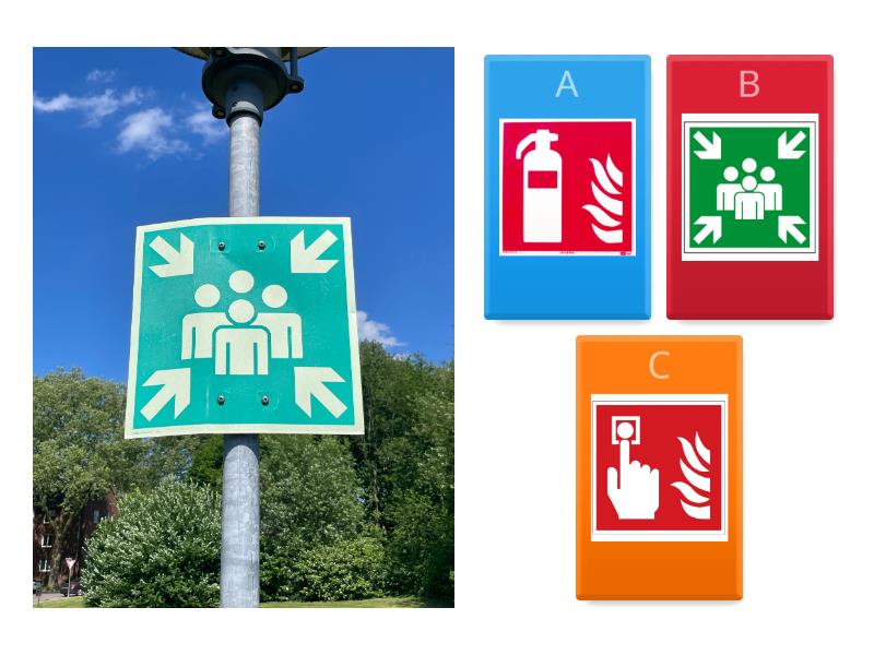 Der Sammelpunkt - Quiz