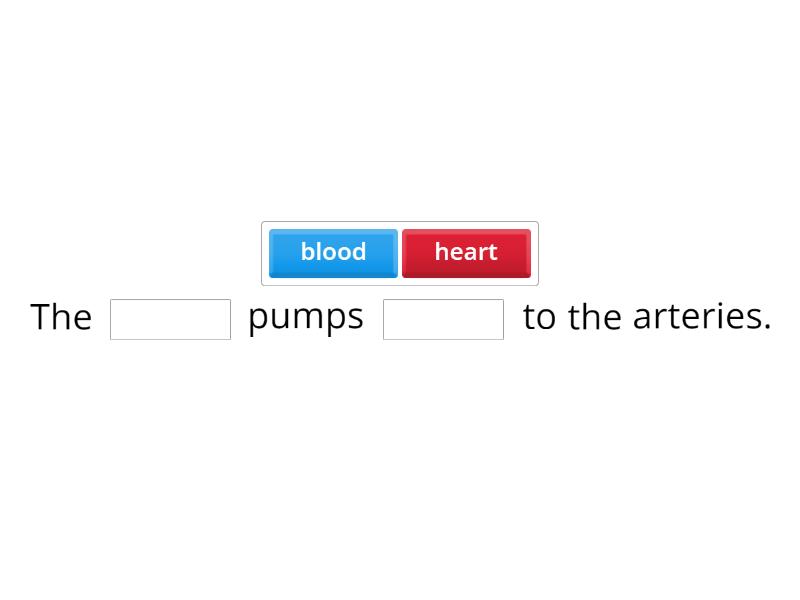 The circulatory system - Complete the sentence