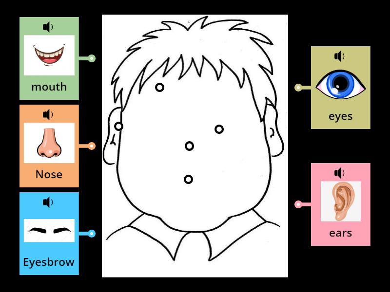 Positioning the face parts - Labelled diagram