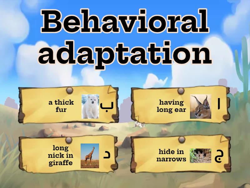 Types of adaptation - Quiz