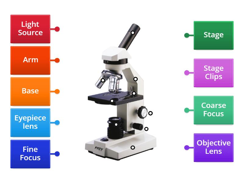 Label the Light Microscope - Labelled diagram