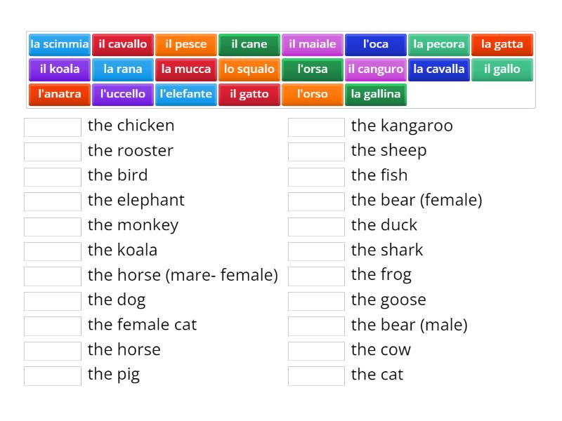 Gli Animali- 2 - Match up