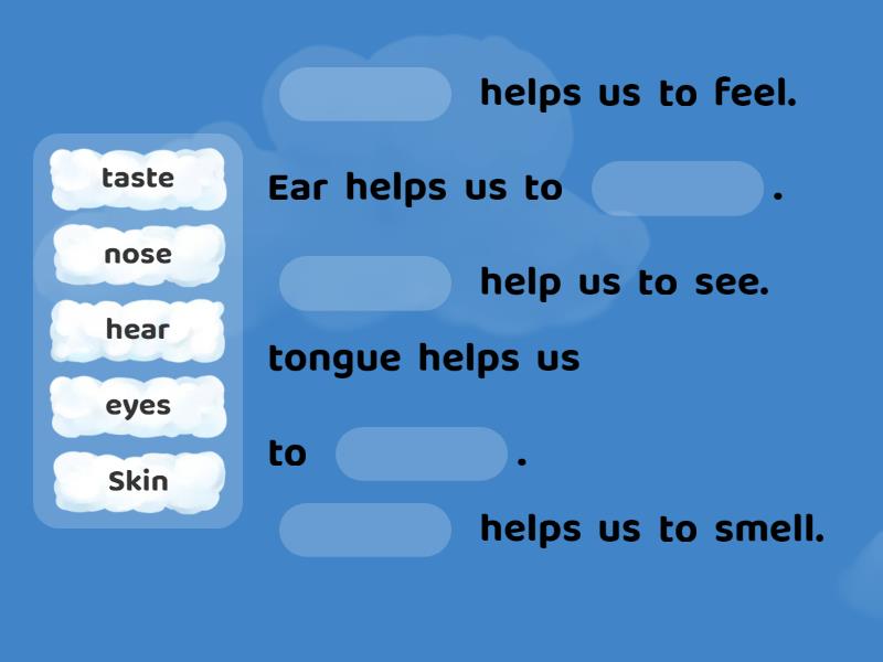 sense organs E.V.S - Complete the sentence